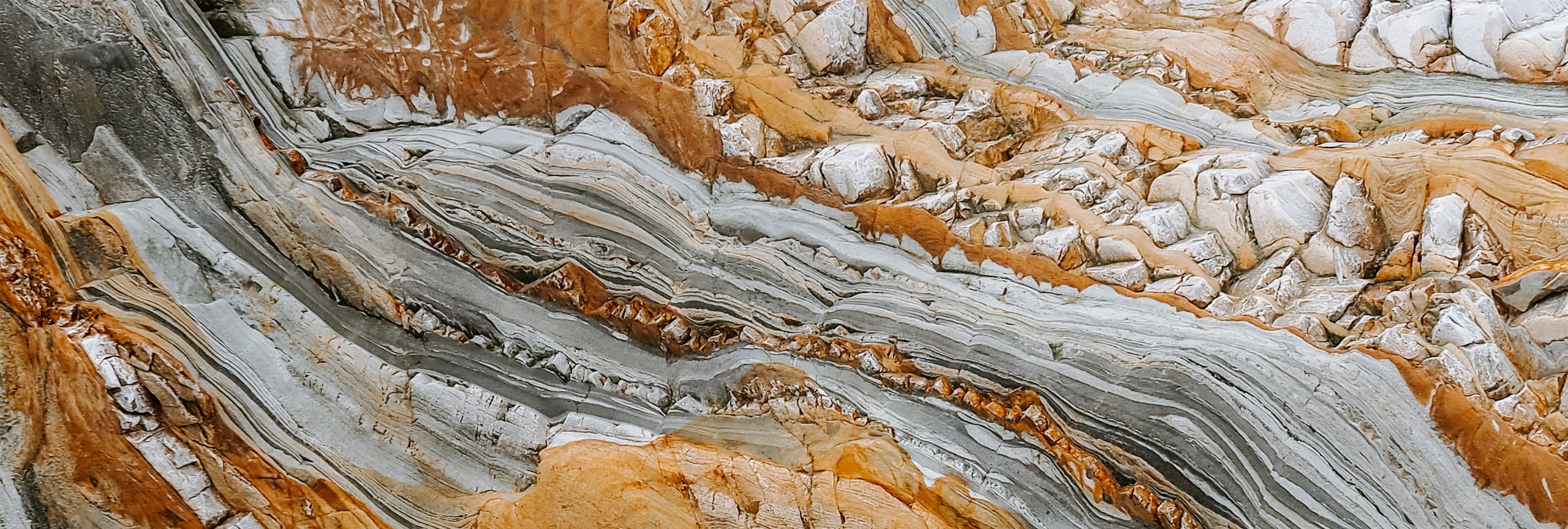 About - The Wild Muse Journal